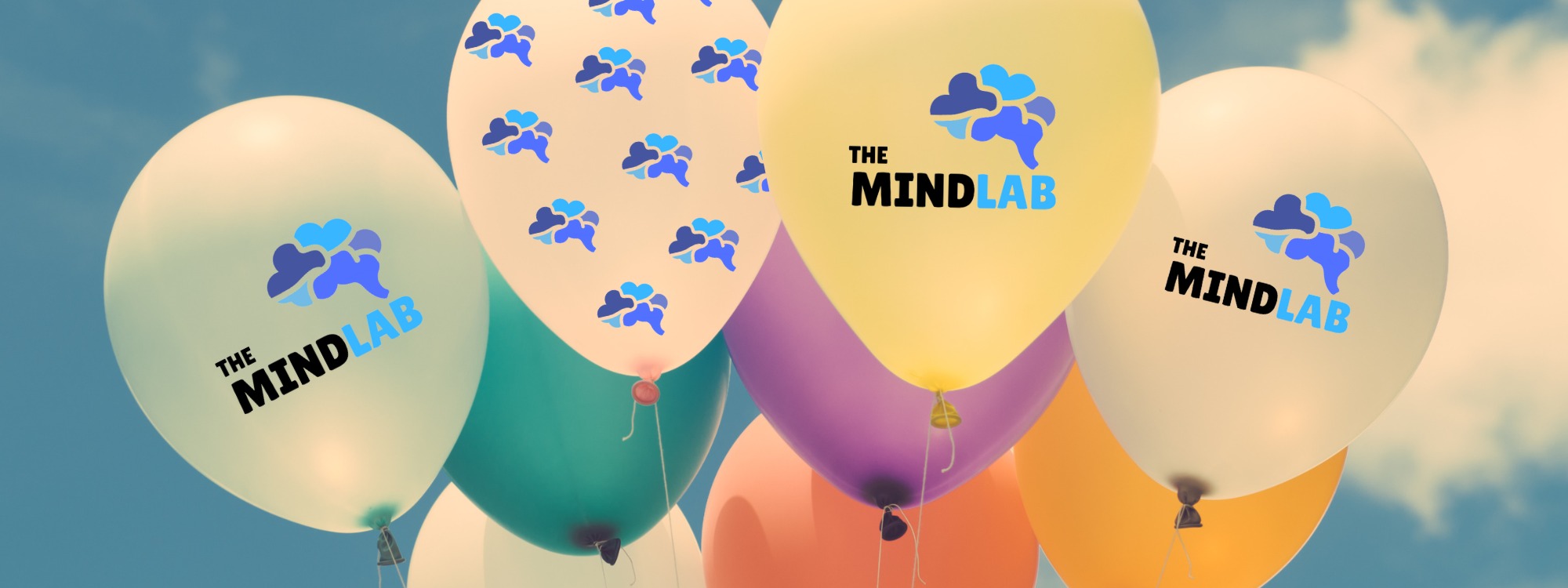 The Mind Lab - Simon Langton Girls’ Grammar School